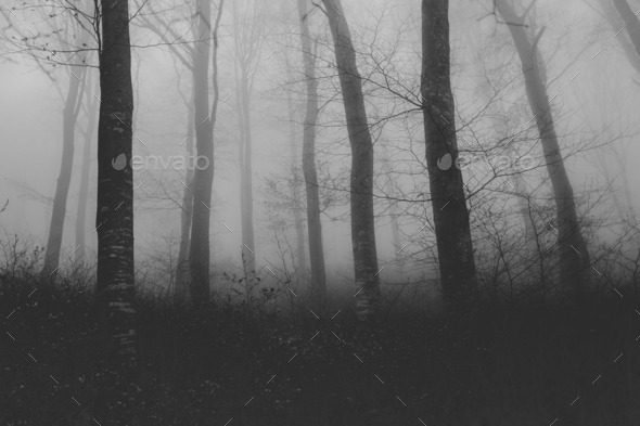 empty Stock Photo by PaulSchlemmer | PhotoDune