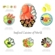 Seafood Design Set. Infographic Food Business, Vectors | GraphicRiver