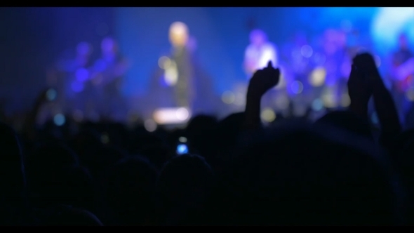 Performing Singer And His Excited Fans, Stock Footage | VideoHive