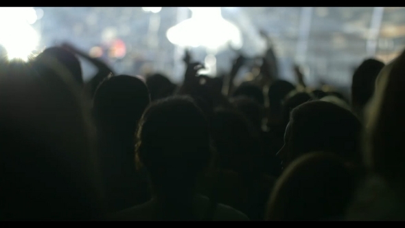 Dancing Audience Of Musical Band Performance, Stock Footage | VideoHive