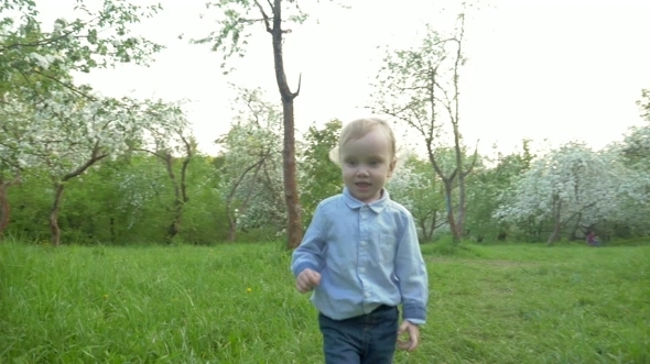 Little Boy Walking Among The Trees, Stock Footage | VideoHive
