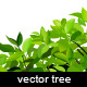 Realistic vector tree, Vectors | GraphicRiver