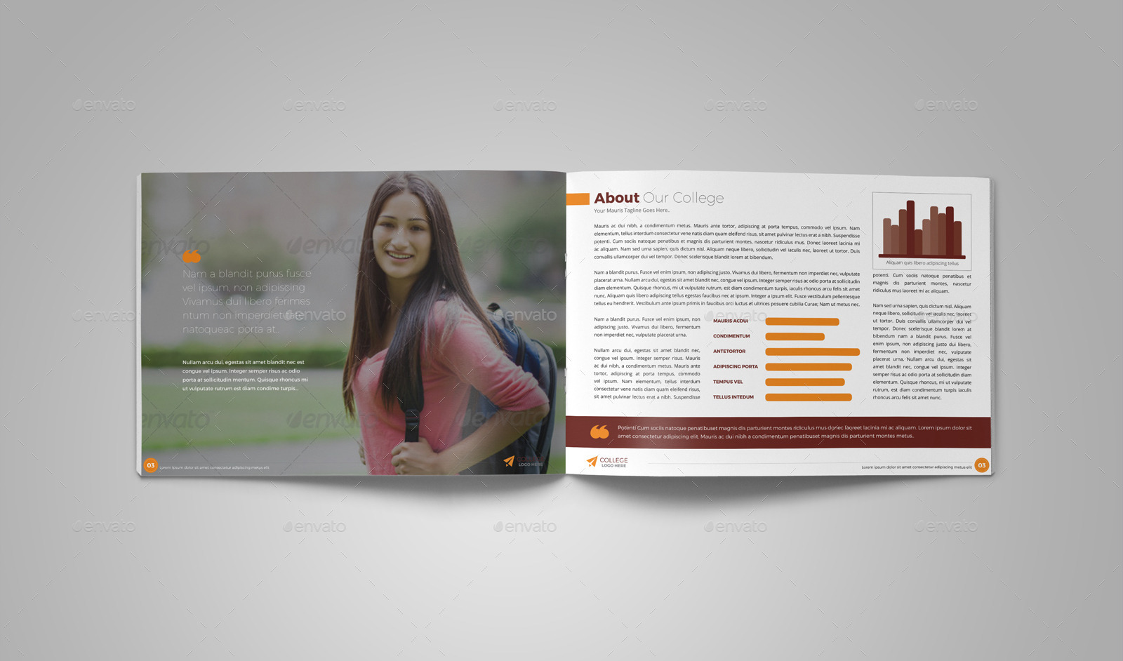 College University Prospectus Brochure v4, Print Templates | GraphicRiver