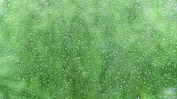 Raindrops, Stock Footage | VideoHive