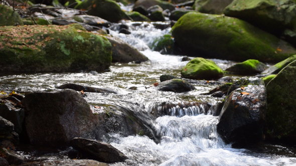 River, Stock Footage | VideoHive