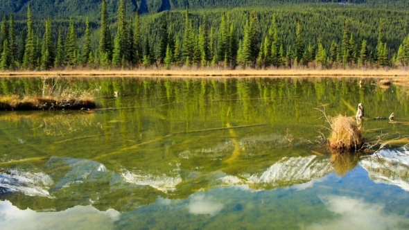 Quiet And Picturesque Canadian Pond, Stock Footage | VideoHive