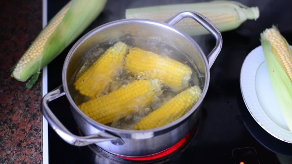 Corn Cooked In a Pot On Stove, Stock Footage | VideoHive