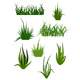 Green Grass Elements for Design by VectorTradition | GraphicRiver