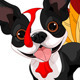 Thanksgiving Boston Terrier , Vectors | GraphicRiver