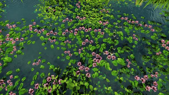 Natural Landscape, Motion Graphics | VideoHive