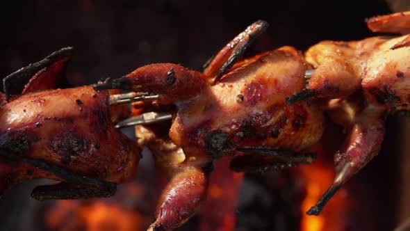 Closeup of the Delicious Quail Carcasses on the Skewer Roasting Above ...