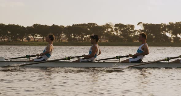 Side view of male rower team rowing on the lake, Stock Footage | VideoHive