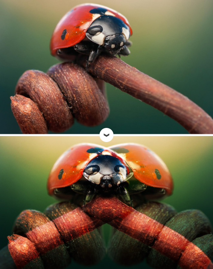 Mirror Exposure - Photoshop Actions, Add-ons | GraphicRiver