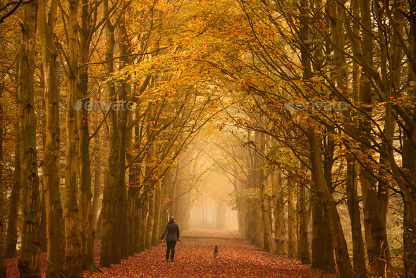 A sunday morning walk in autumn Stock Photo by iPics | PhotoDune