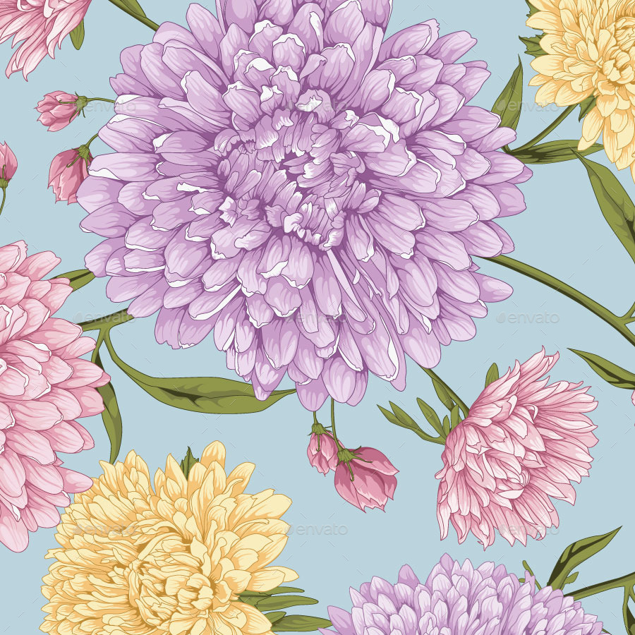 Aster Flower , Vectors | GraphicRiver