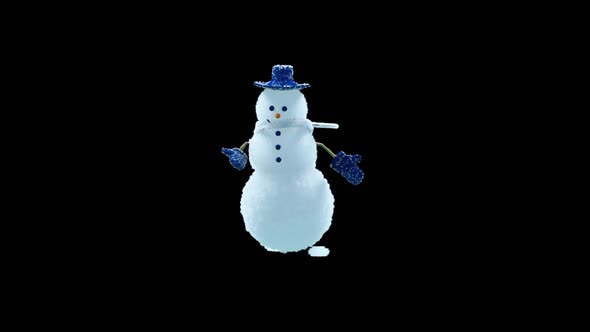Snowman Dancing HD, Motion Graphics | VideoHive