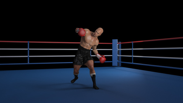 The Boxer, Motion Graphics | VideoHive