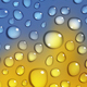 Autumn Backgrounds With Water Drops, Vectors | GraphicRiver