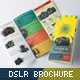 Digital Slr Camera Specifications Trifold Brochure, Print Templates