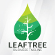 Leaf Tree, Logo Templates | GraphicRiver