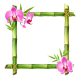 Green Bamboo Frame with Pink Orchid Flowers, Vectors | GraphicRiver