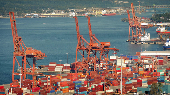 Busy Port With Hundreds Of Crates In The Daytime, Stock Footage | VideoHive