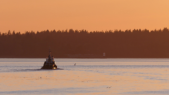 Tugboat In Amazing Evening Lighting, Stock Footage | VideoHive