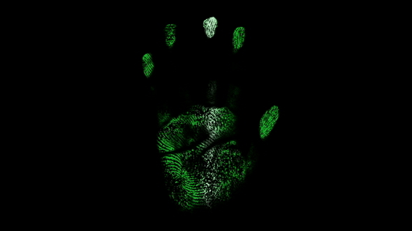 Scanning of a Human Hand, Motion Graphics | VideoHive