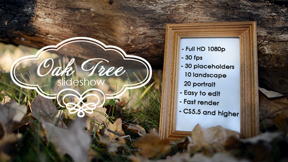 Oak Tree Slideshow, After Effects Project Files | VideoHive
