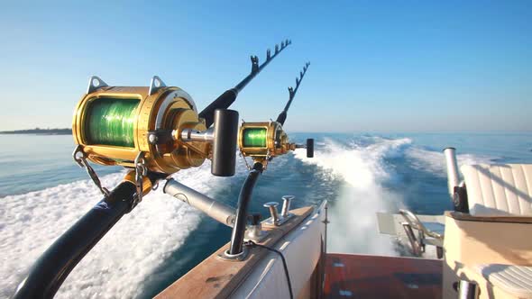 Reels, Stock Footage | VideoHive