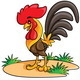 Rooster Cartoon, Vectors | GraphicRiver