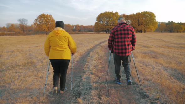 Mature Couple Nordic Walking on Pathway in the Meadow, Stock Footage