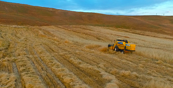 Aerial Harvest Field, Stock Footage | VideoHive