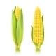 Sweet Corn Set, Vectors | GraphicRiver