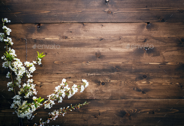 Summer Flowers on wood texture background Stock Photo by primo-piano
