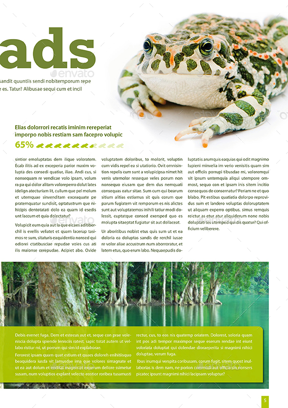 Eco Newsletter, Print Templates | GraphicRiver