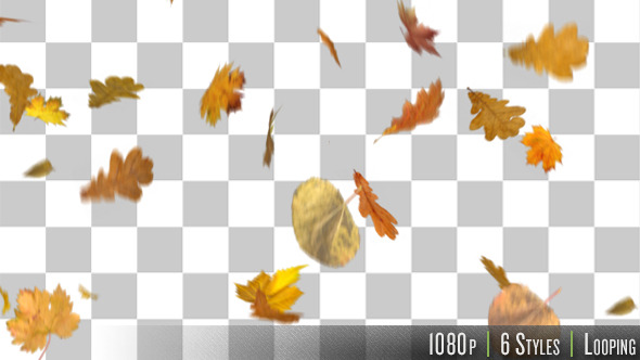 Blowing & Falling Leaves, Motion Graphics | VideoHive