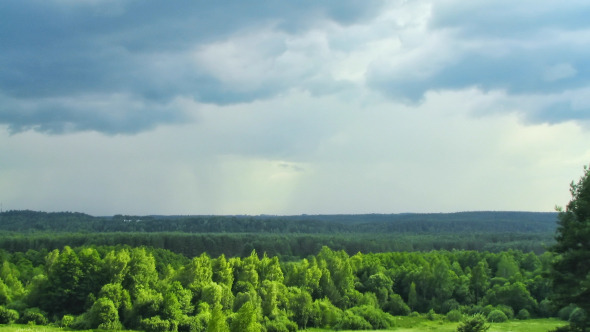 Rain Over The Forest, Stock Footage | VideoHive