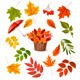 Set of Colorful Autumn Leaves and Objects, Vectors | GraphicRiver