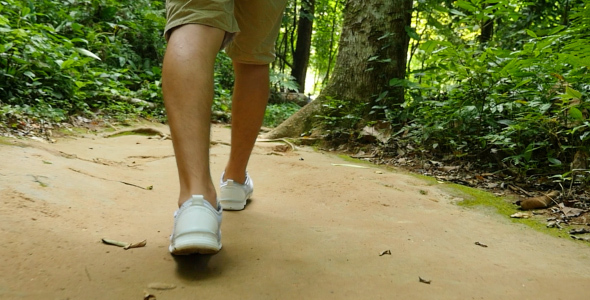 Feet Walking In Forest Trail, Stock Footage | VideoHive