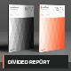 Divided Annual Report Template, Print Templates | GraphicRiver