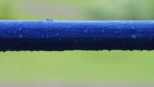 Drops Of Water Dripping In The Rain, Stock Footage | VideoHive