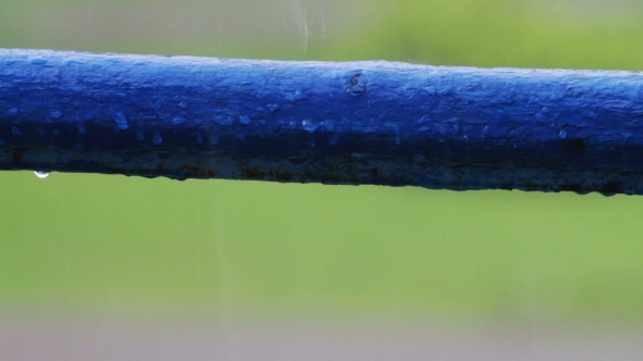 Drops Of Water Dripping In The Rain, Stock Footage | VideoHive