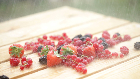 Fresh Berry In The Rain, Stock Footage | VideoHive