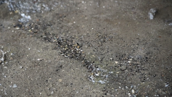 Rain Drops Fall On The Ground , Stock Footage | VideoHive