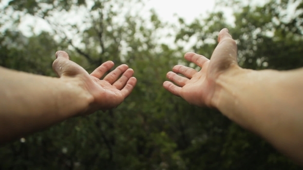 Hands In Rain 2, Stock Footage | VideoHive
