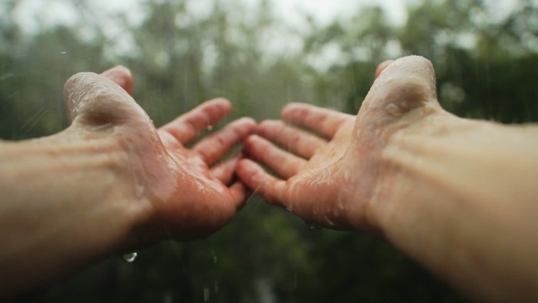 Hands In Rain 1, Stock Footage | VideoHive