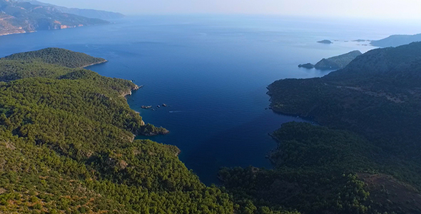 Sea And Forest, Stock Footage | VideoHive