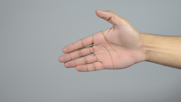 Shake Hand for Fresh Start, Welcome, Stock Footage | VideoHive