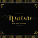 Nurture Font, Fonts | GraphicRiver